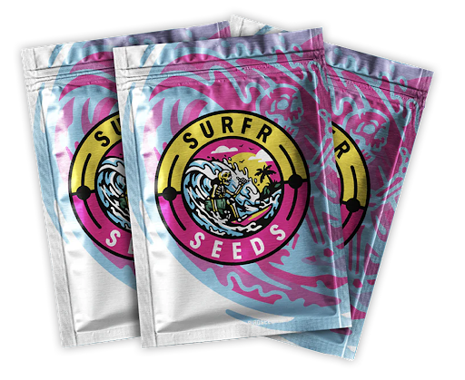 Surfrseeds